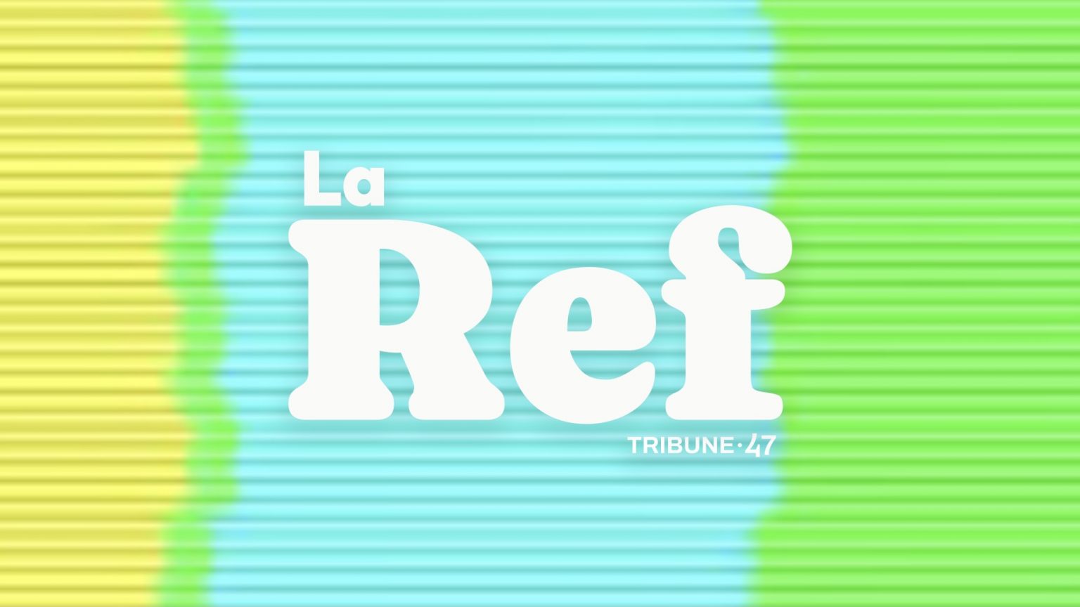 La réf : EP.8 : Limoges CSP / Olympique de Marseille - Tribune 47